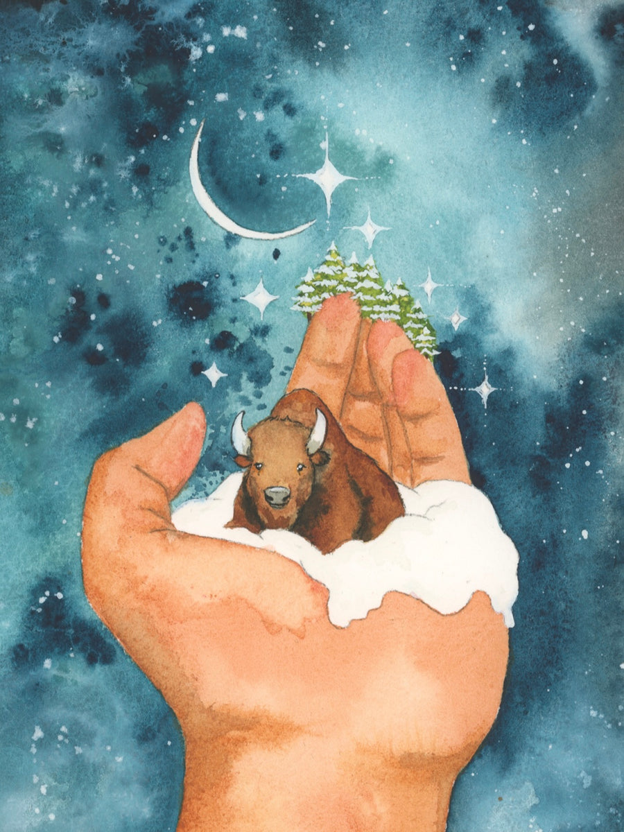 THE PROMISE OF HOPE & LIGHT 🌙 🌲🦬 – Aly McKnight