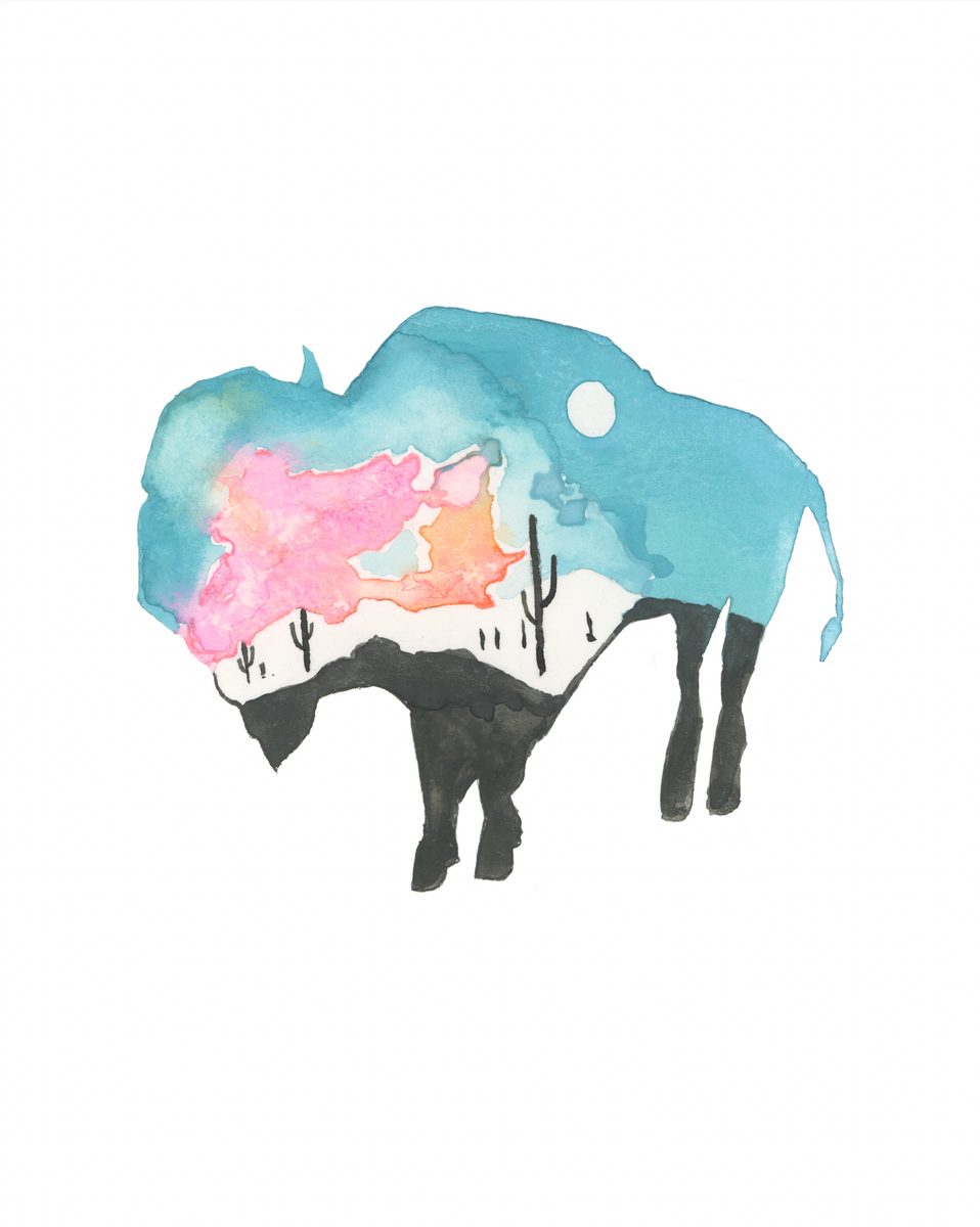 BUFFALO SUNRISE & SUNSET – Aly McKnight